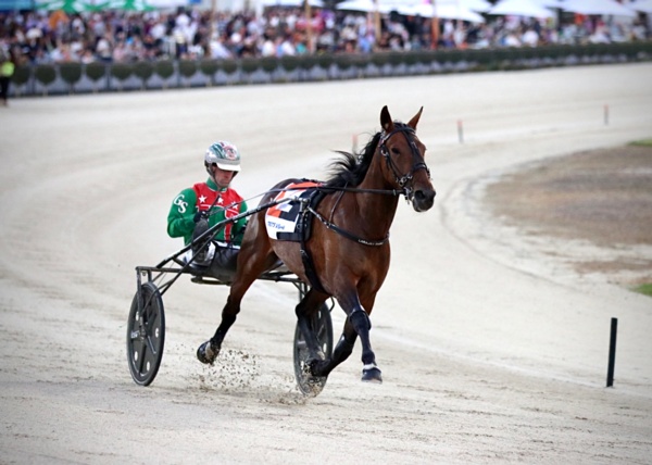 Chris Lang Snr named newest Caduceus Club Living Legend – The Trots