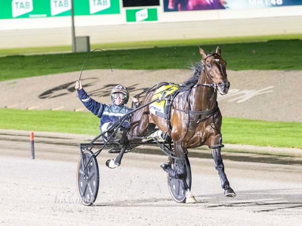 Guerin: Queensland on radar for Merlin after Derby triumph - The Trots