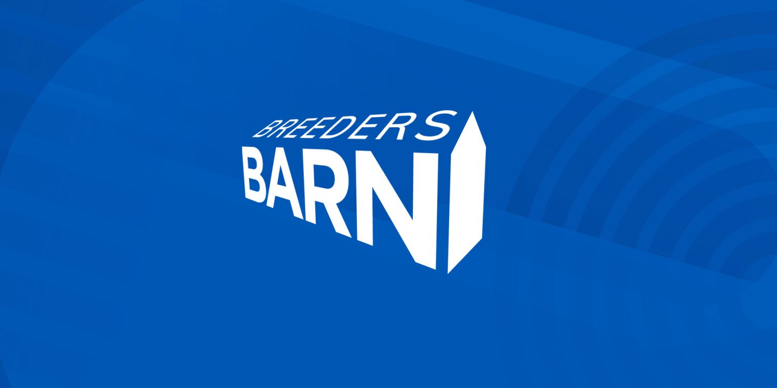 2026 Running of the Bulls – The Trots