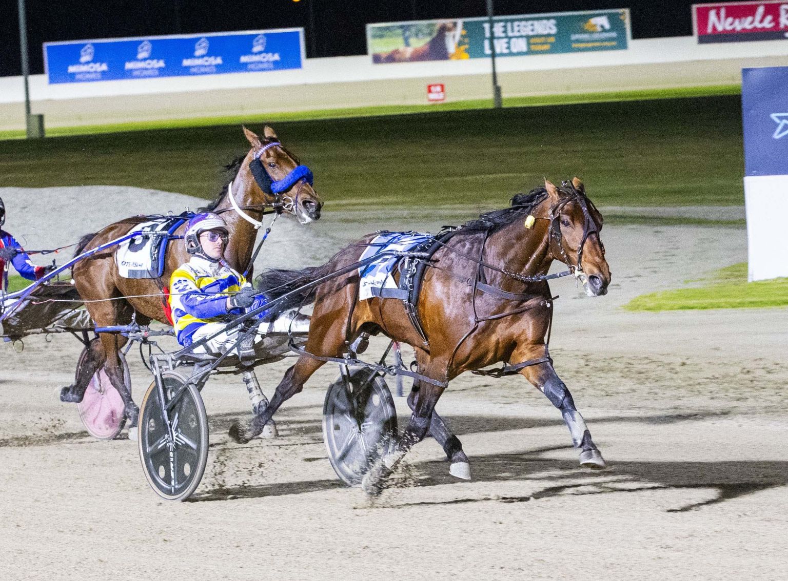 Young gun Ryan Sanderson chasing dream night at Melton – The Trots