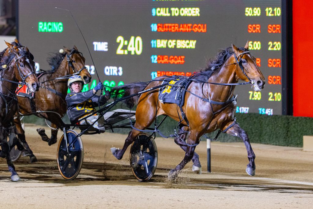 Eureka star Bay Of Biscay eyes Leap To Fame in Victoria Cup – The Trots