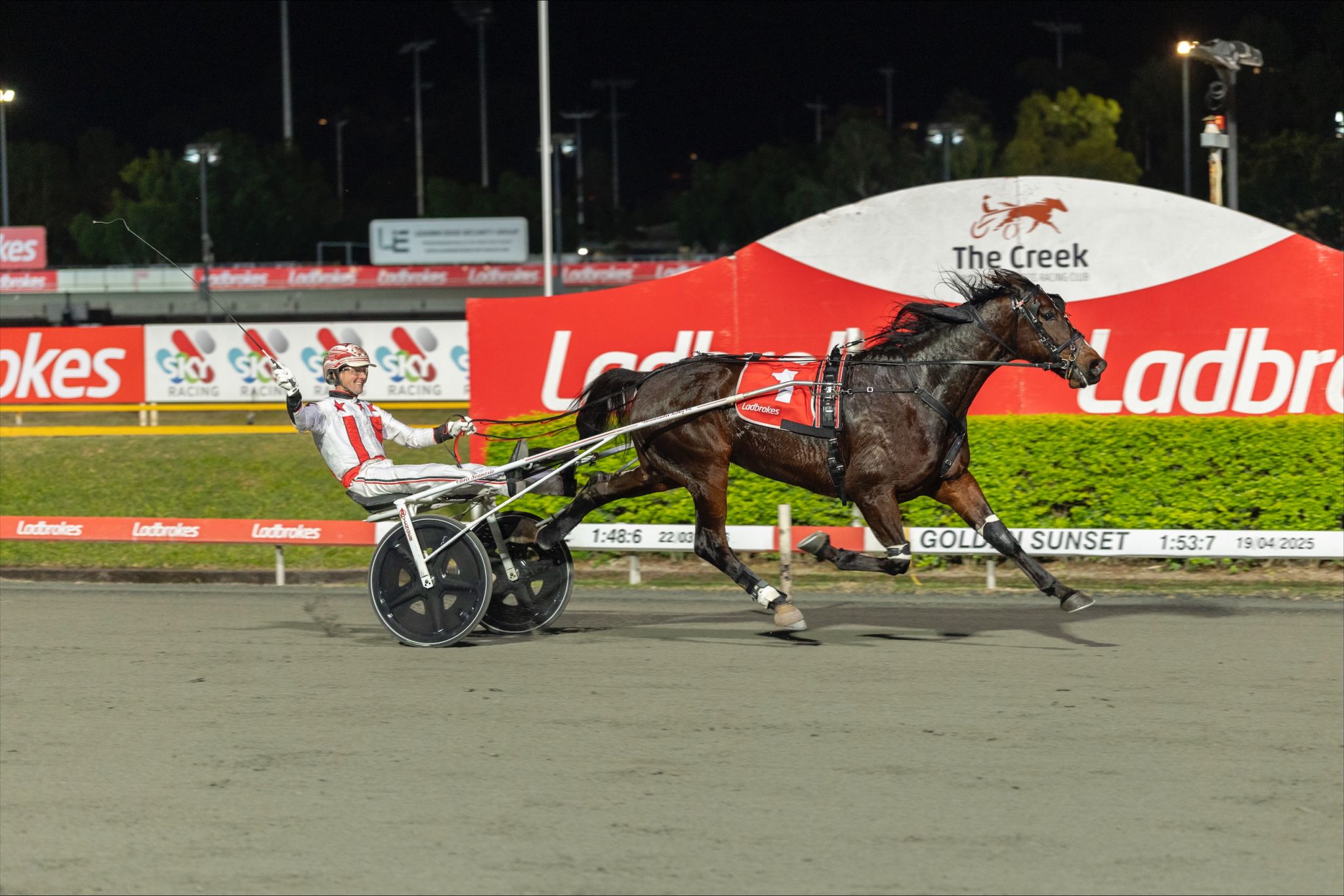 Arcee Phoenix steps out with Melton trial ahead of NZ campaign – The Trots