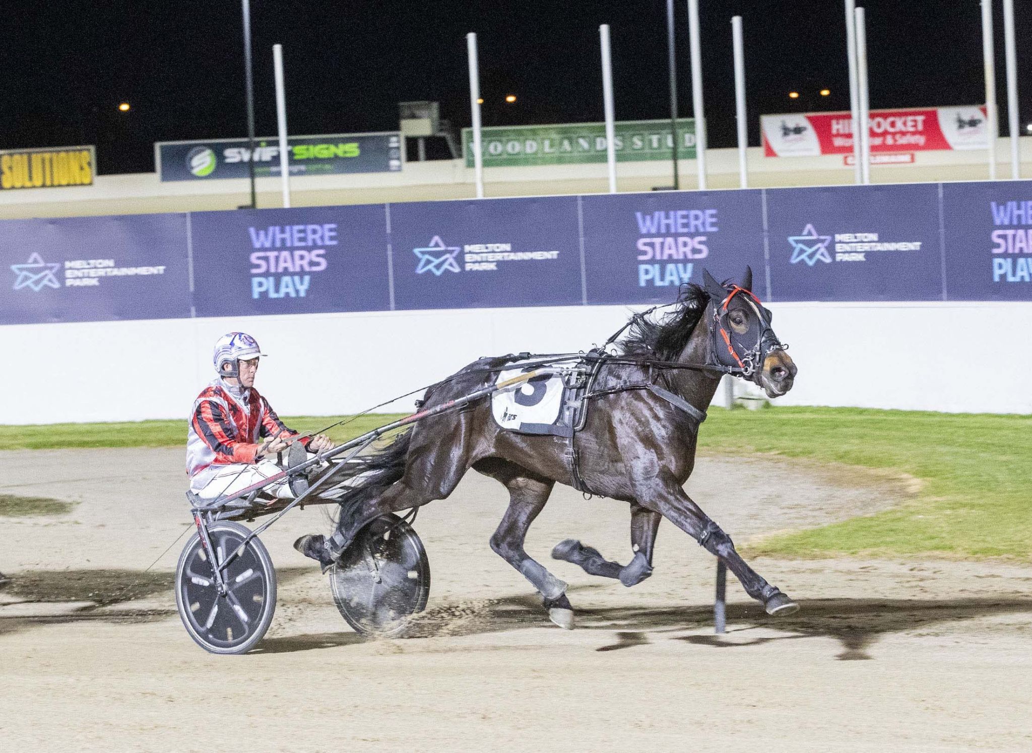 Hamilton: Taking a look at the Aussies raiding NZ - The Trots