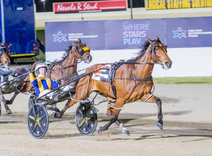 Harness racing set for a Victoria Cup night to remember – The Trots