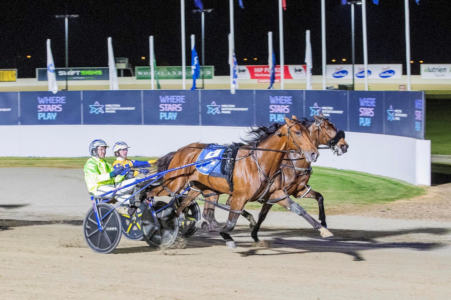 Hamilton: Kingman poised for major tilt at Summer of Glory carnival ...