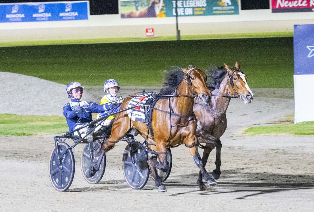 Leap To Fame back to winning ways as New Zealand Cup beckons – The Trots