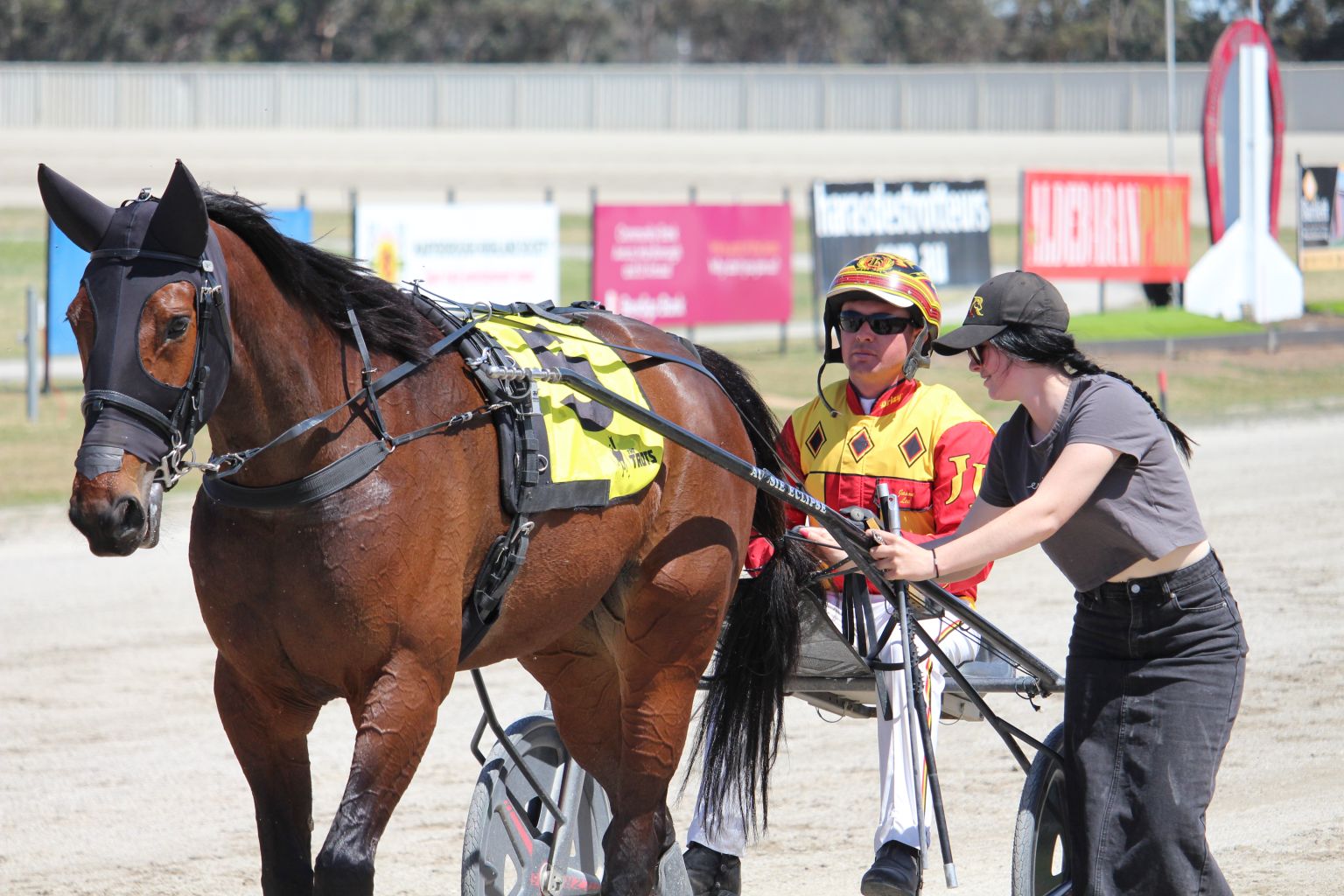 Brilliant Jilliby Ballerini chasing history in New Zealand – The Trots
