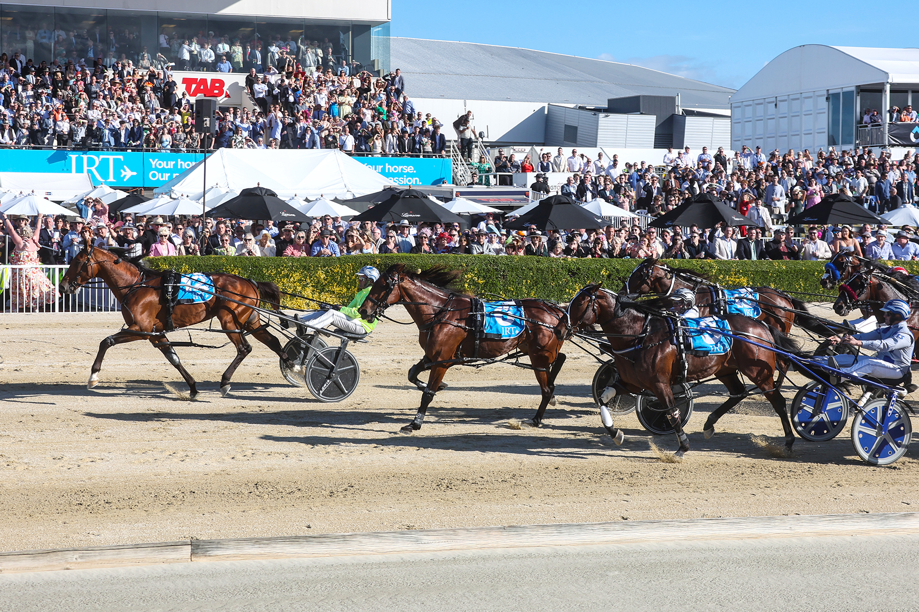 Hamilton: The King’s rise a boon for Victoria’s new-look carnival – The ...