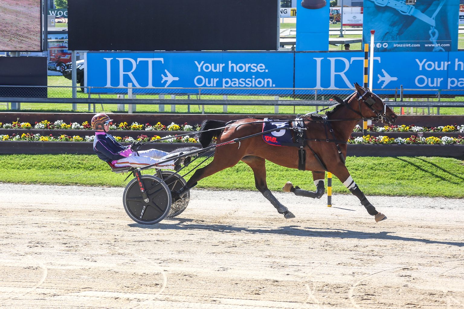 Herbertson and Tubbs deliver something truly special – The Trots