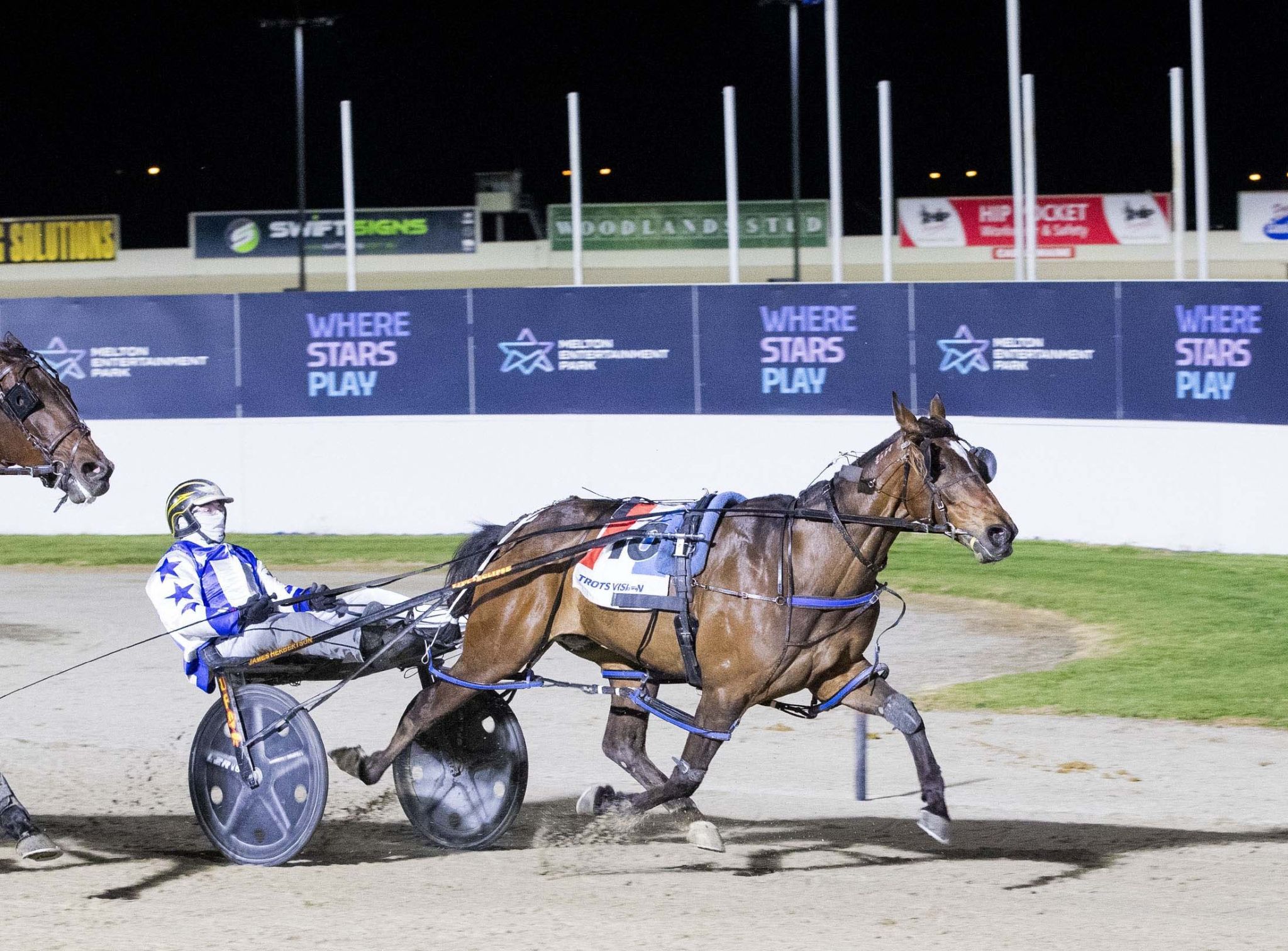 Pet Kitty and Test Of Fire deliver Millar another perfect night – The Trots