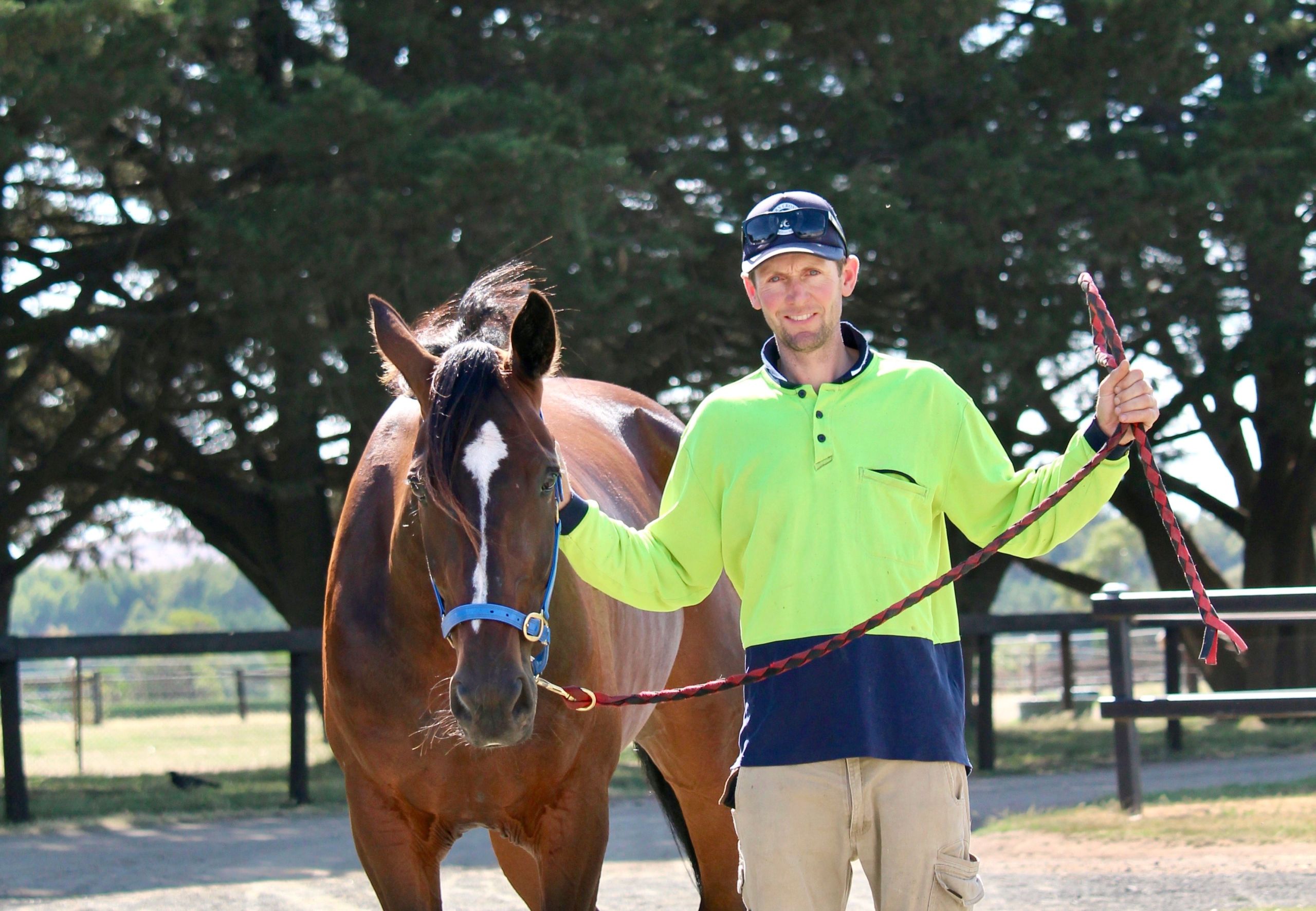 Svanosio eyes third straight Maori Mile with Arcee Phoenix – The Trots