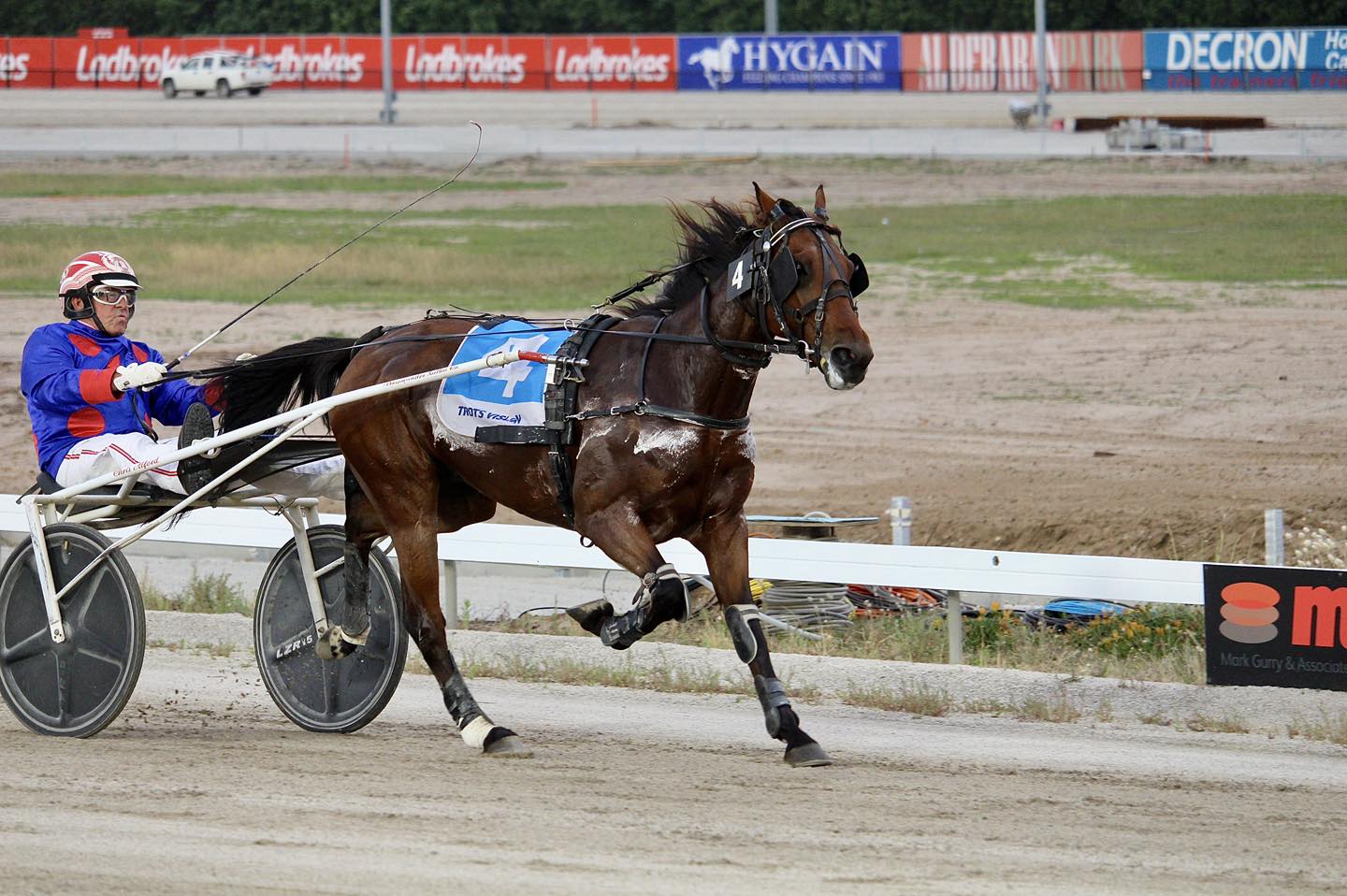Rarity Rock delivers Saturday night win for Ellery – The Trots