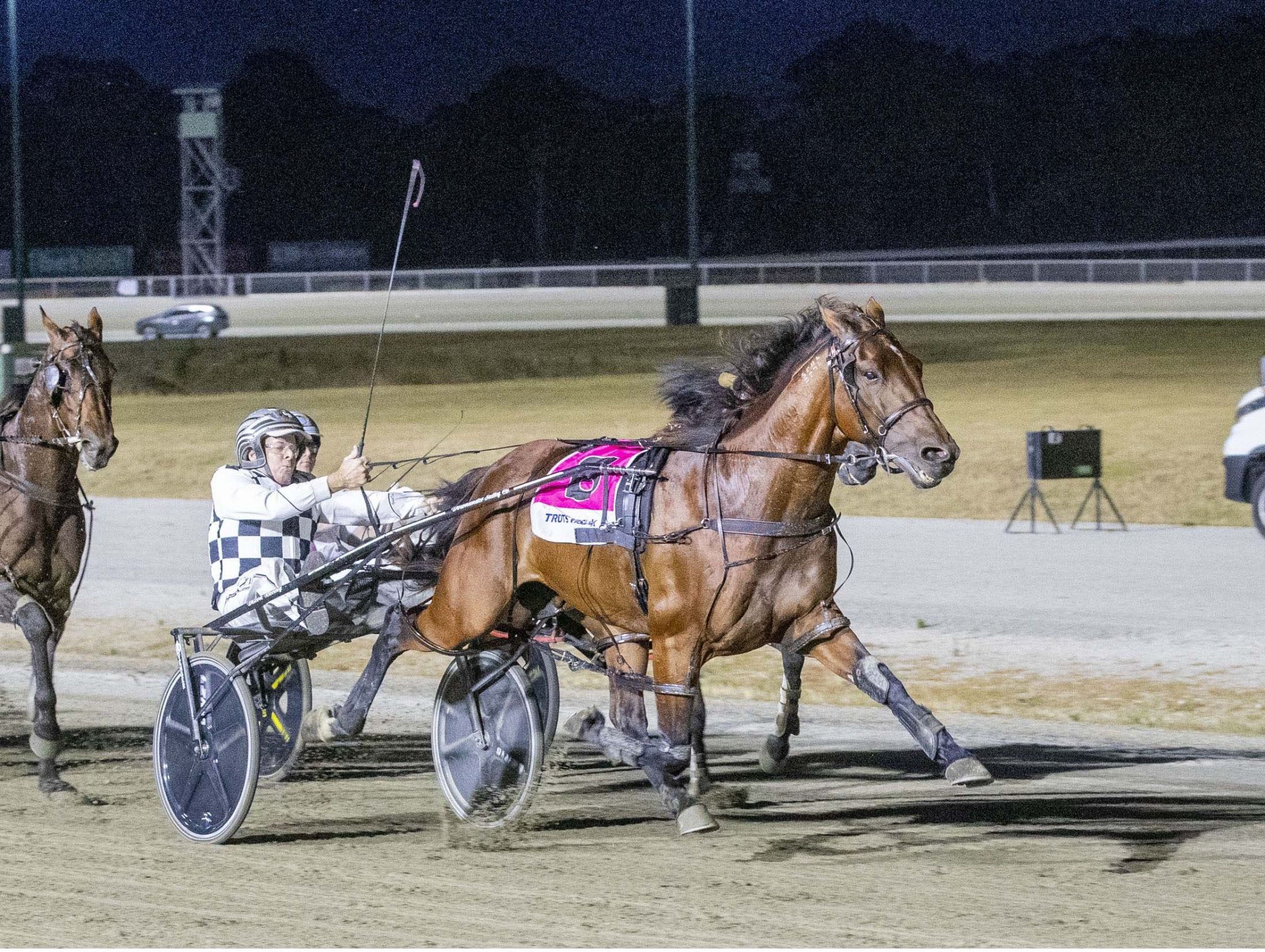 Kilmore victory sets Leap To Fame’s sights on Hunter Cup – The Trots