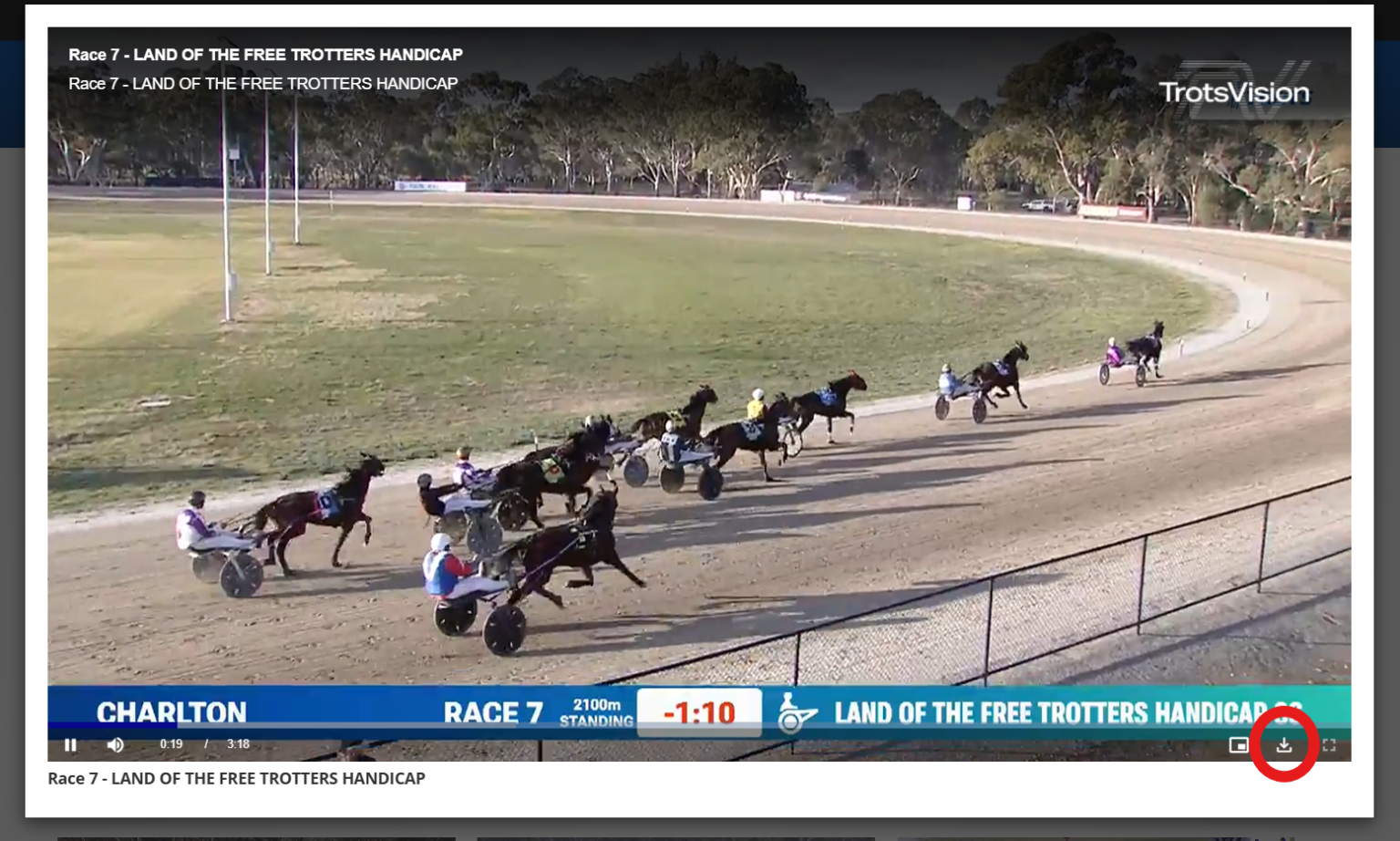 Race Replays – The Trots